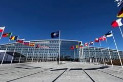 UN Confirms Likely Involvement of Staff in October 7 Attacks on Israel ...