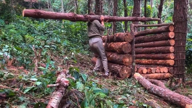 Bushcraft Survival | Solo bushcraft Alone Girl, 30 Days DIY Wild Forest ...