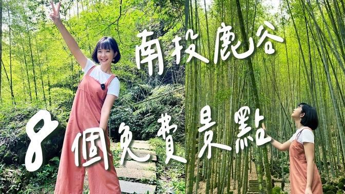 【南投】鹿谷8個免門票景點、超輕鬆的步道！銀杏林搭配茶園美景、遠眺臺灣西半部。媲 1000步要去哪裡 乾淨世界