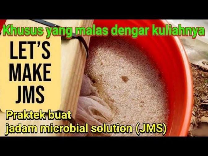 praktek meMbuat pupuk cair kaya organisme - jadam microbial solution ...