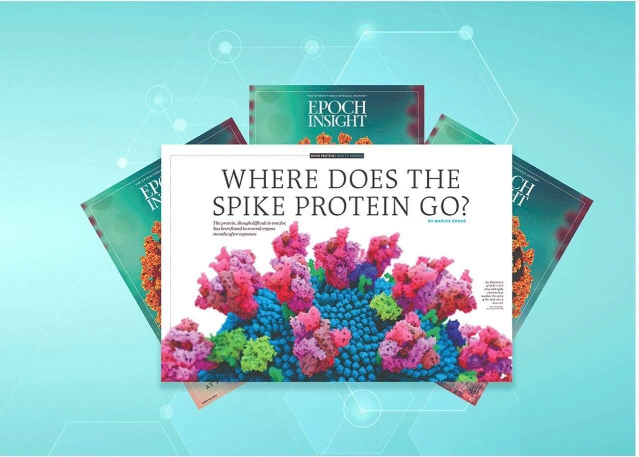 CHUYÊN ĐỀ PROTEIN GAI: Tổn thương & Điều trị | Articles | Epoch Times ...