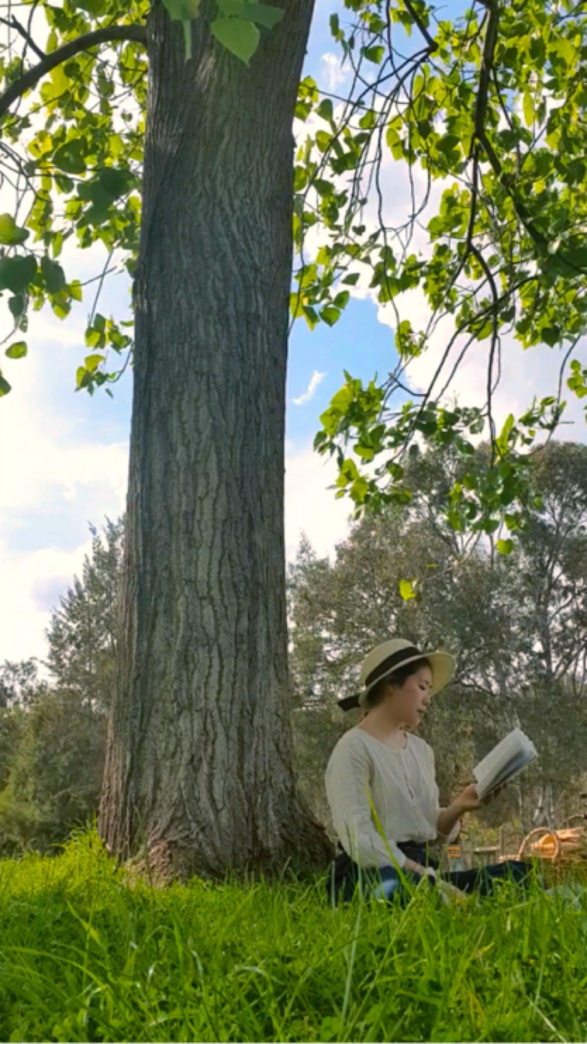 Past Memoirs #deardiary #journalling ... | Laura Feng | Gan Jing World